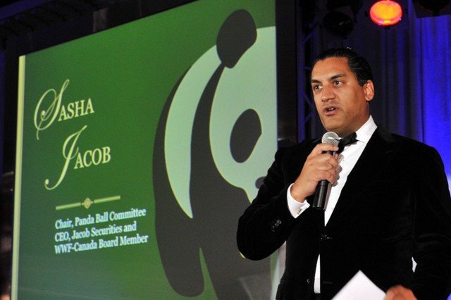 Photo 4 of 4 in Sasha Jacob - Toronto Photos by Sasha Jacob Toronto ...