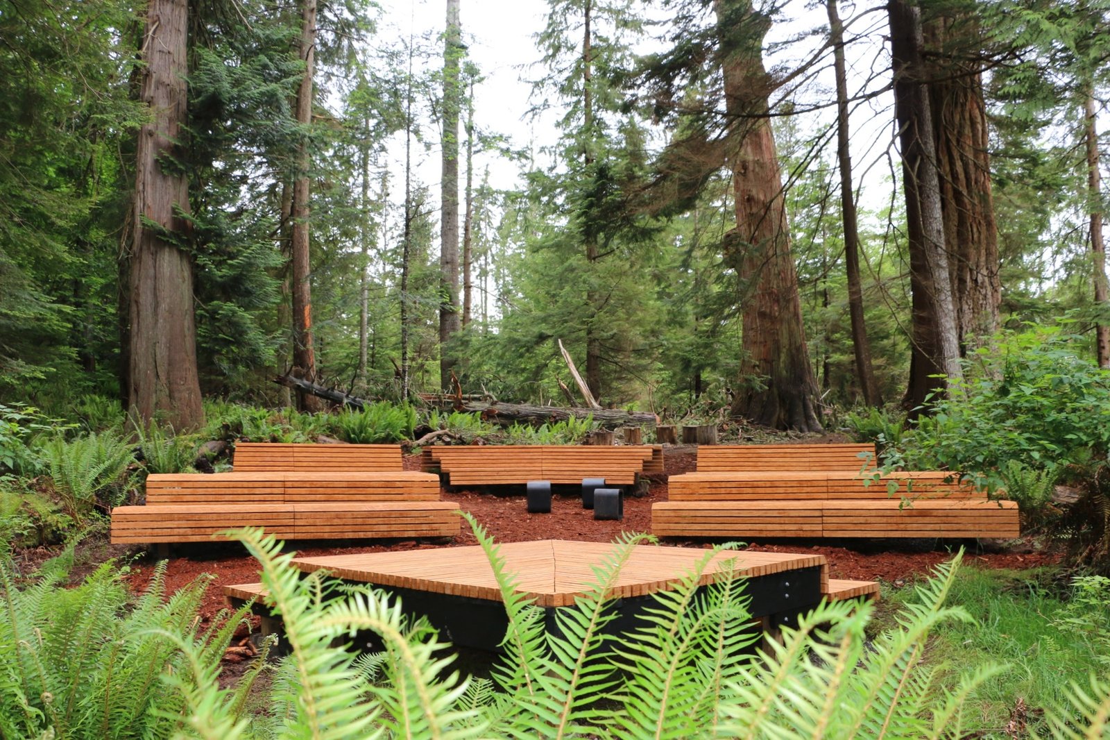 Fircom Amphitheatre (4 Photos) - Dwell
