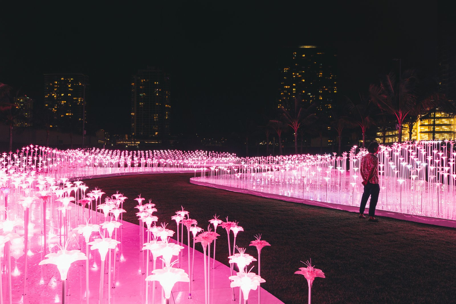 Hawai'i’s Most Instagram-Worthy Interactive Art Exhibition Arrives in ...