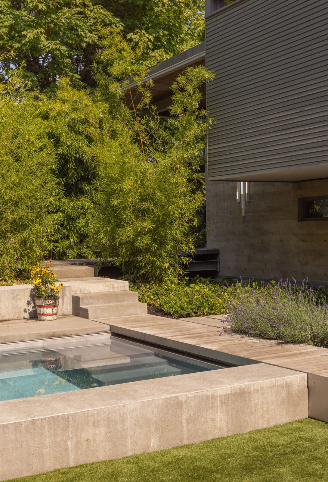 Photo 17 of 21 in Lil Dipper by Best Practice - Dwell