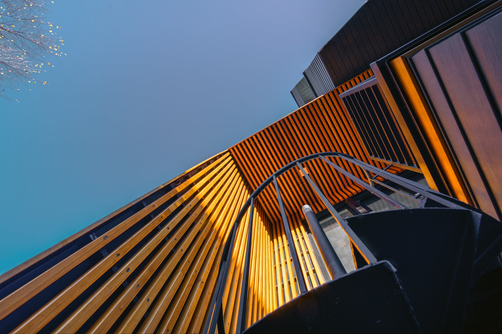 Photo 5 of 12 in Jiggle House by Opera Studio Architecture - Dwell