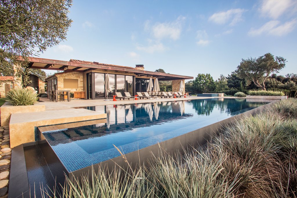 The Olive Tree (5 Photos) - Dwell