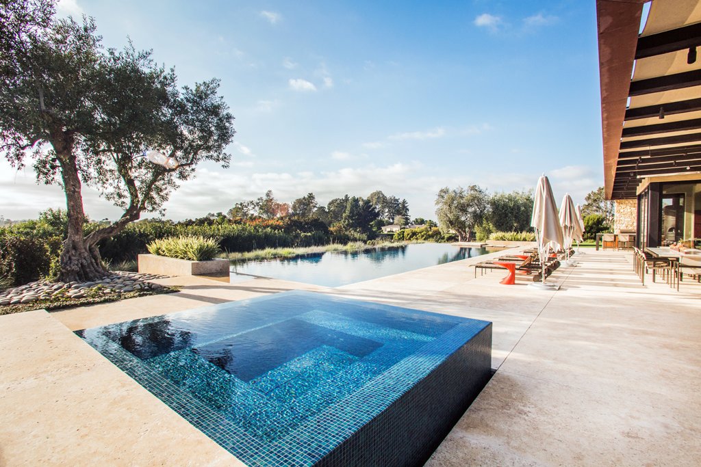 Photo 4 of 5 in The Olive Tree by Schnetz Landscape Inc. - Dwell