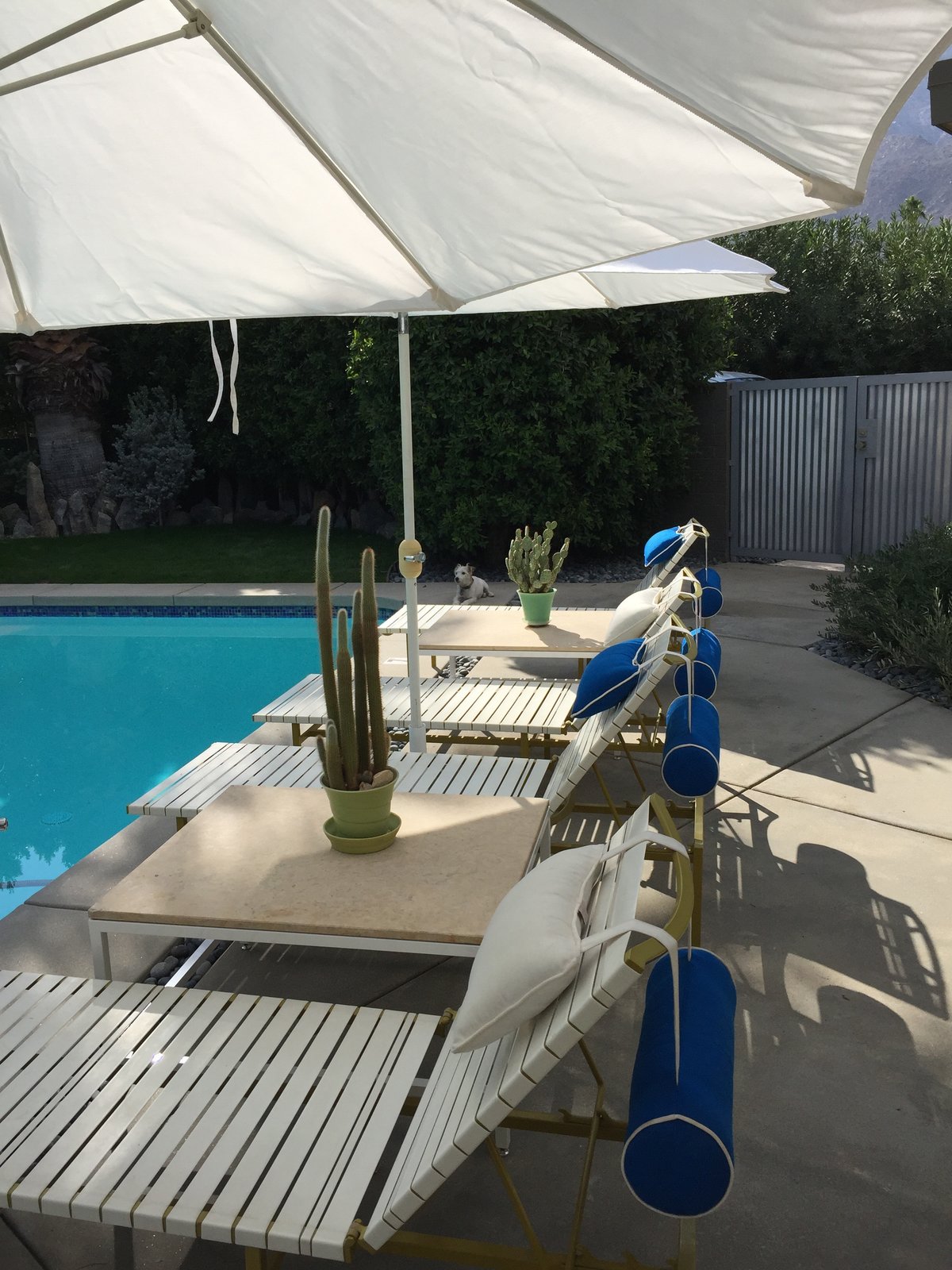 Photo 8 of 12 in Paul Trousdale Palm Springs Compound! by Tom Stearns ...