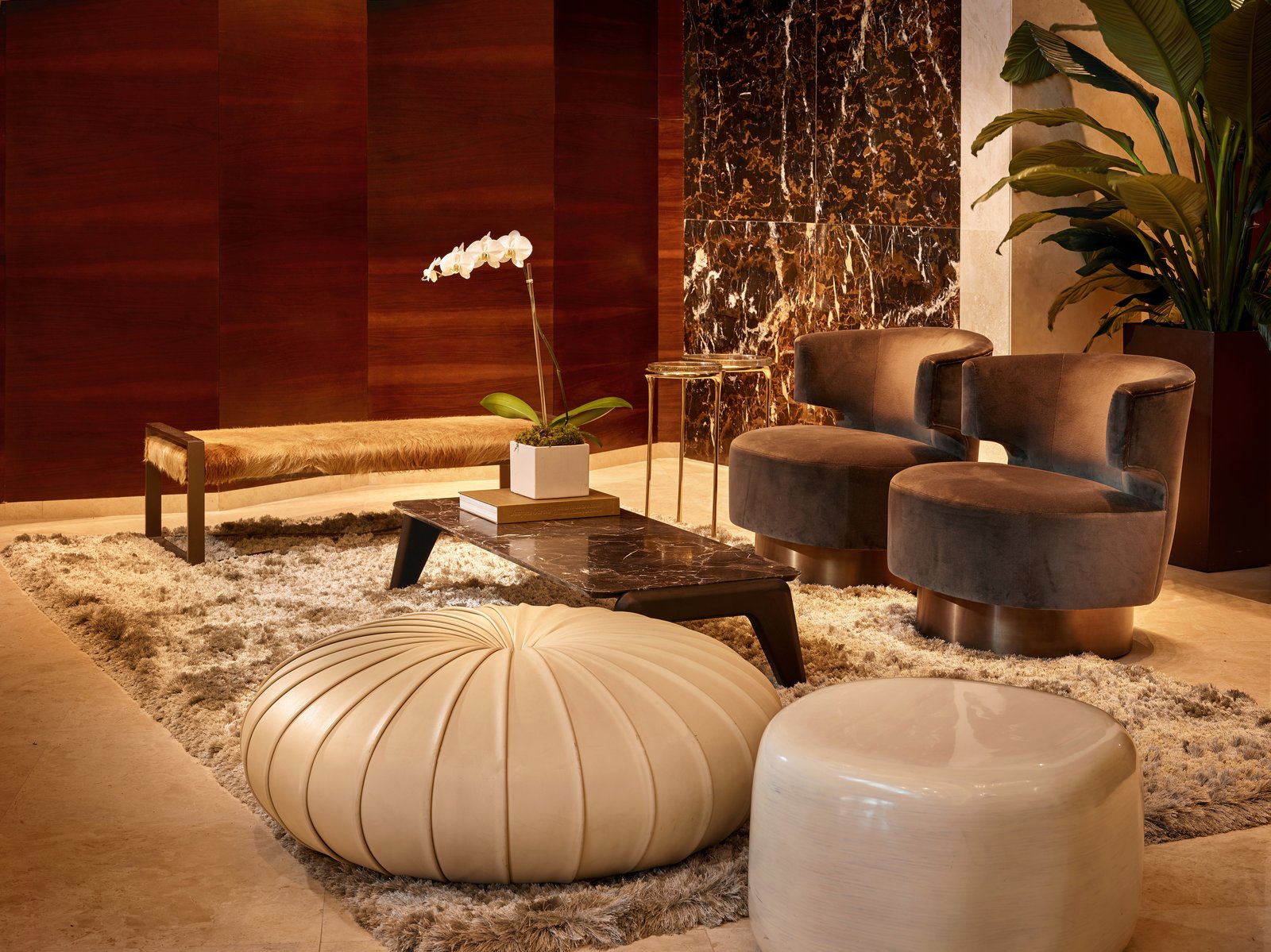 Photo 1 of 7 in TRUMP II by RS3 DESIGNS - Dwell