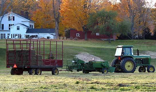 Photo 11 of 17 in Buttonball Farm by Thomas Paron - Dwell