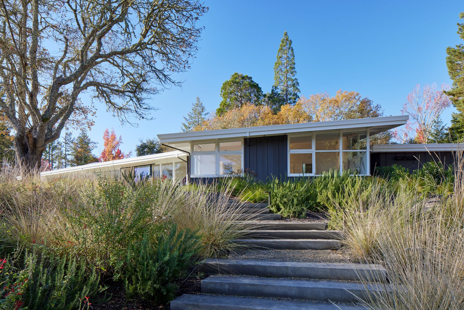 Photo 2 of 17 in Sebastopol Residence by Design Agency Co. - Dwell