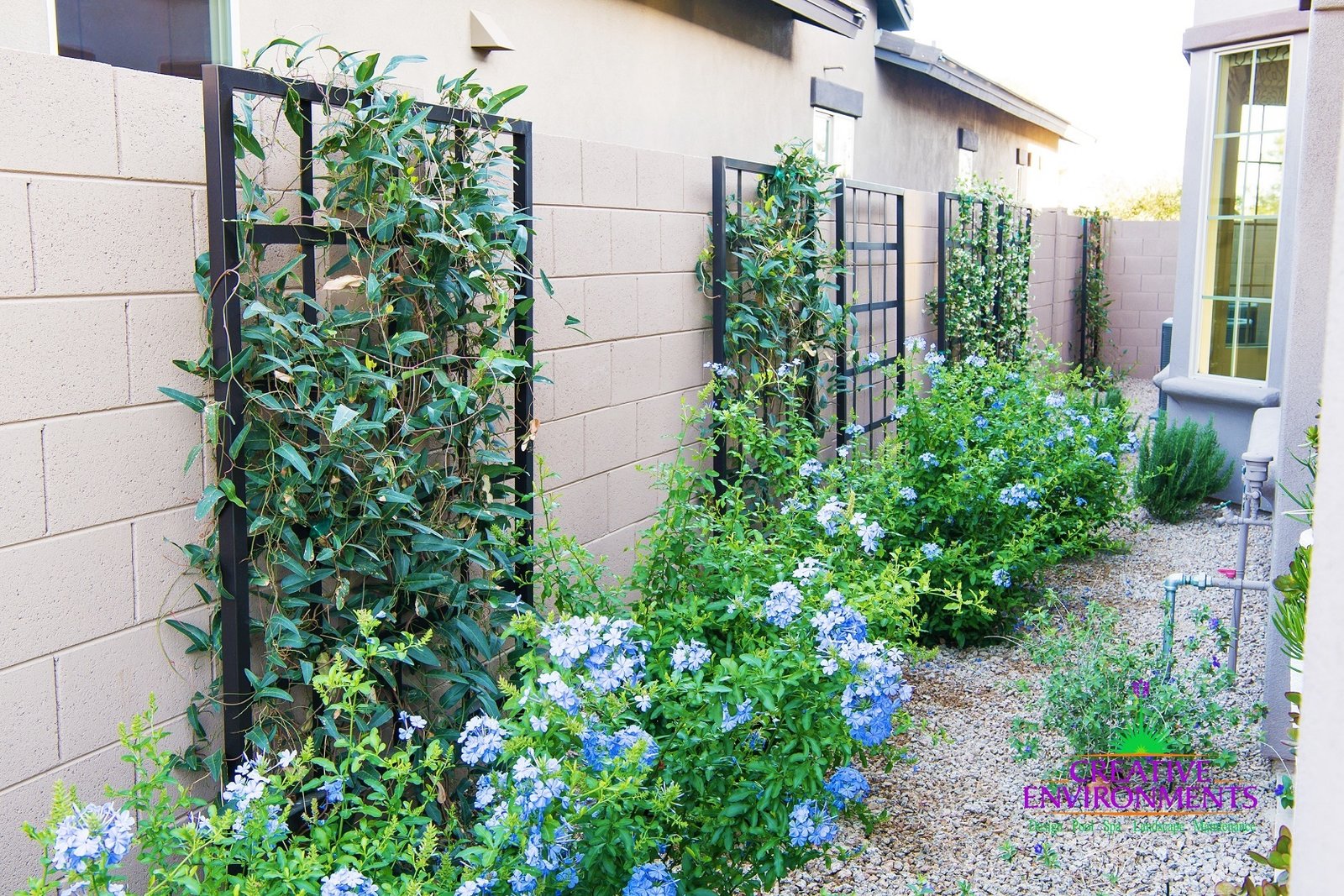 Photo 5 of 9 in Grove by Creative Environments - Dwell