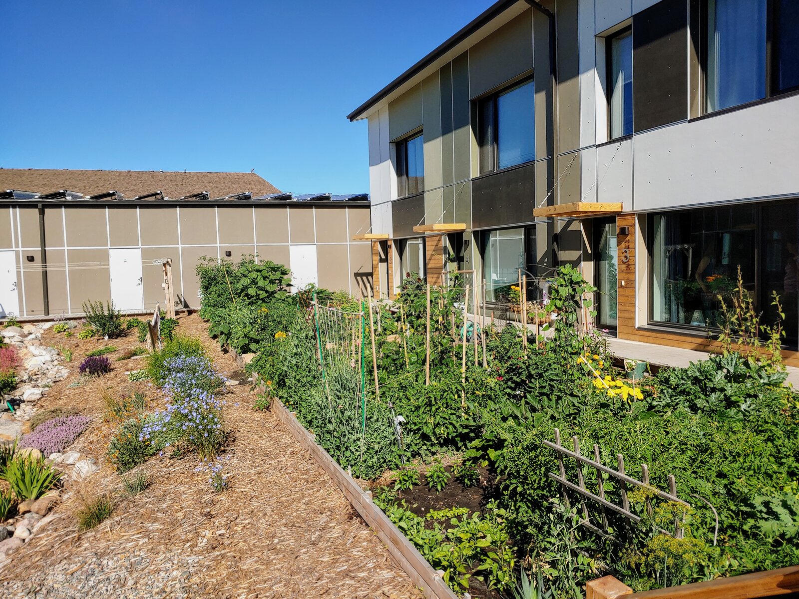 Photo 5 of 25 in Radiance Cohousing by Shannon Dyck - Dwell