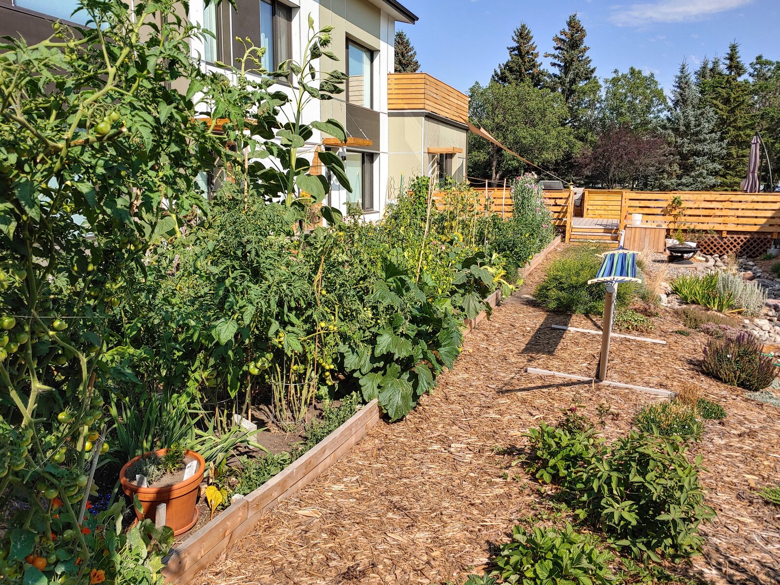 Photo 4 of 25 in Radiance Cohousing by Shannon Dyck - Dwell
