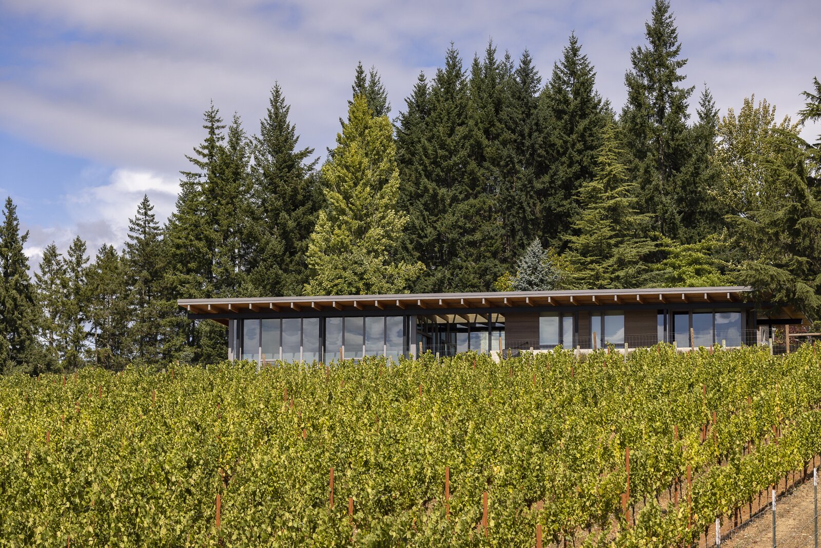 Photo 1 of 21 in Lone Feather Residence by Scott Edwards Architecture ...