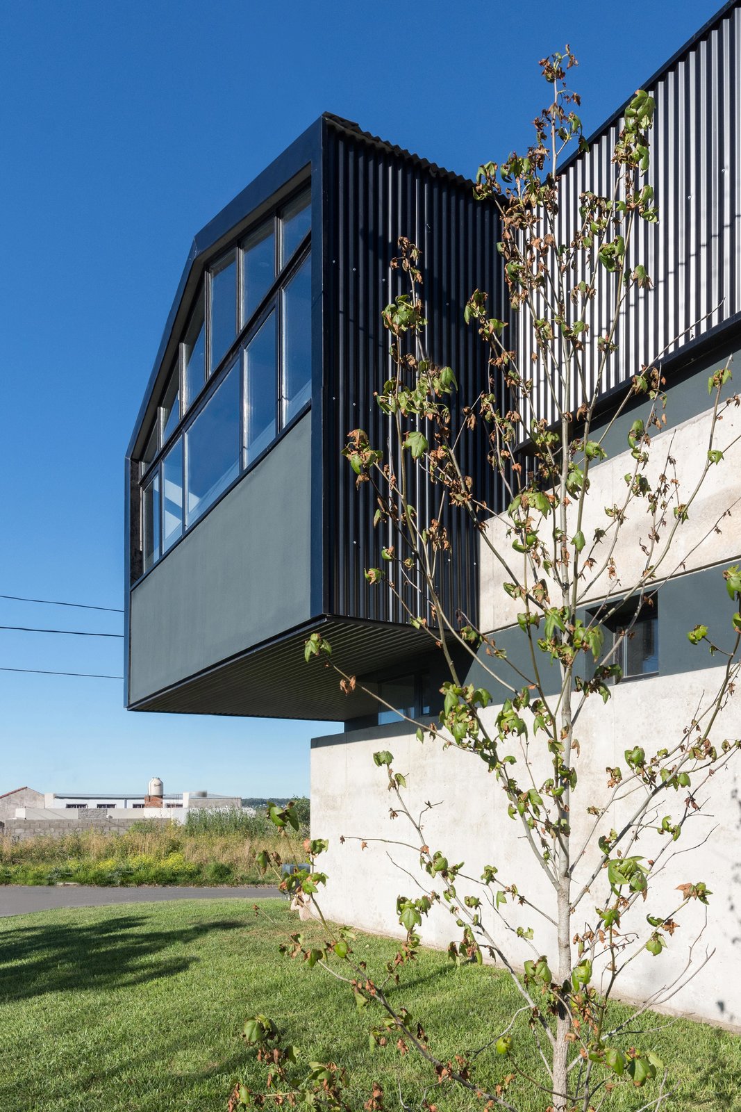 Photo 5 of 35 in Porta House by Moirë architects - Dwell