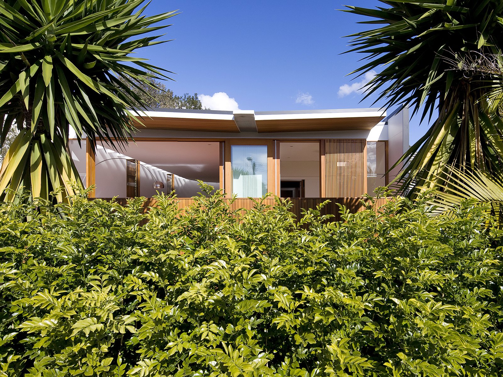 Photo 10 of 14 in Infinity House by CplusC Architectural Workshop - Dwell