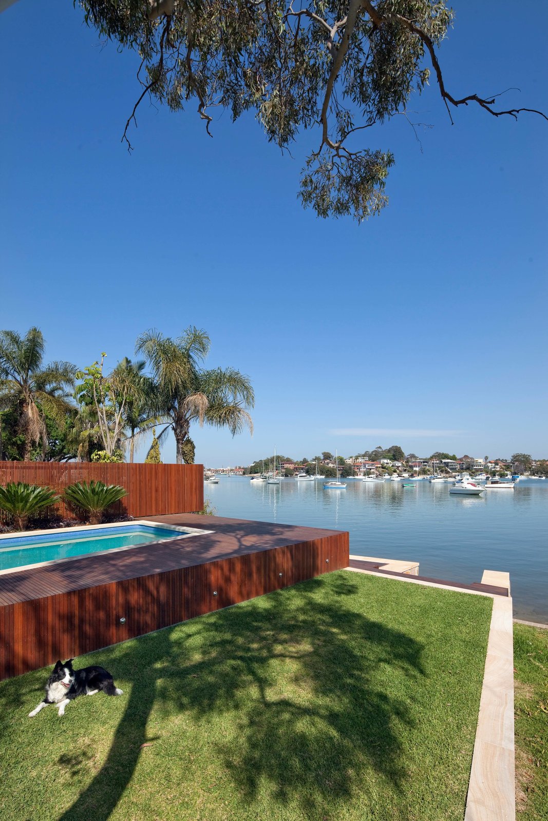 Photo 5 of 15 in Tennyson Point by CplusC Architectural Workshop - Dwell