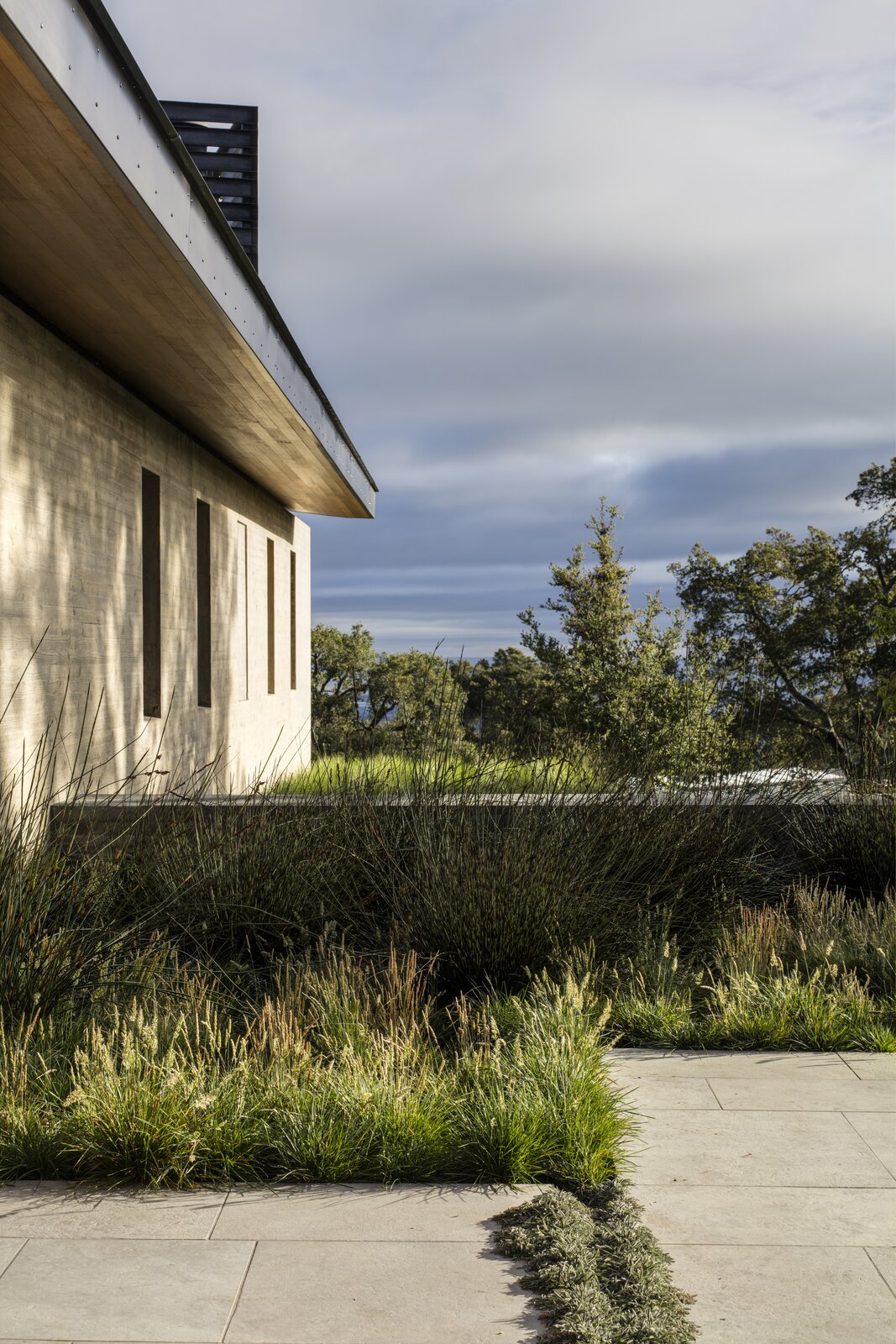 Photo 8 of 23 in A Natural Fit by Fergus Garber Architects - Dwell