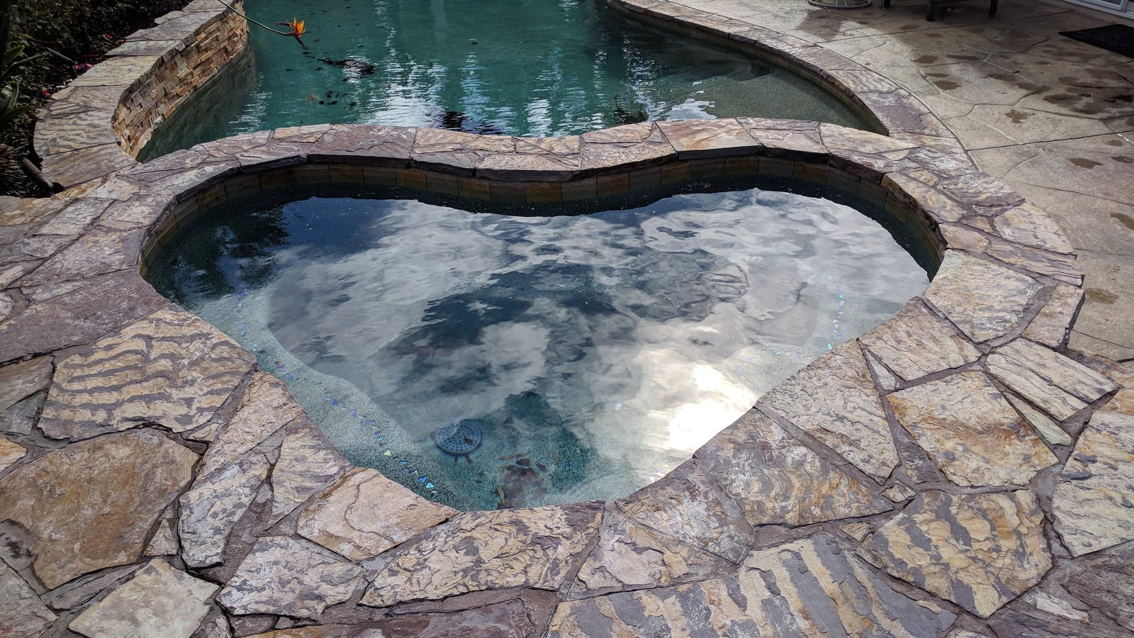 Photo 3 of 16 in 4+2 Single Story Pool Home by Ryan Huggins - Dwell