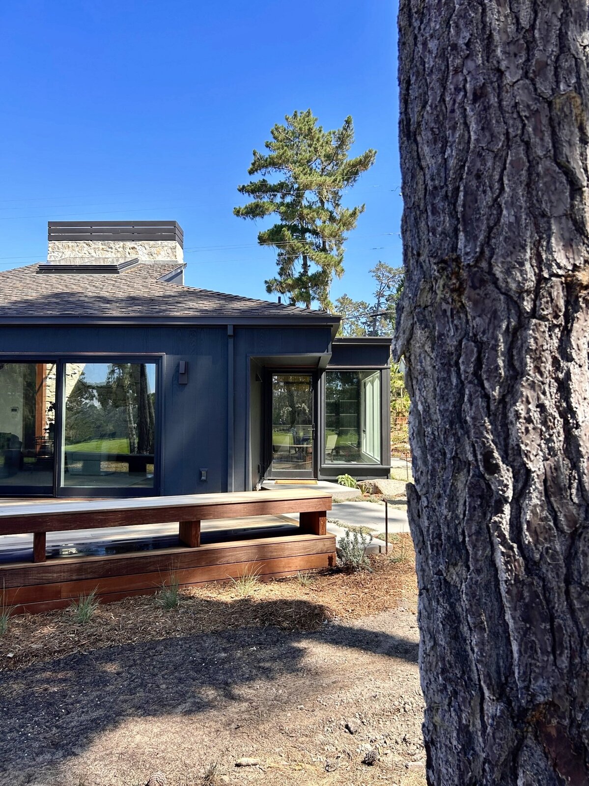 Photo 3 of 8 in Pebble Beach Mid-Century by Justin Pauly Architects - Dwell