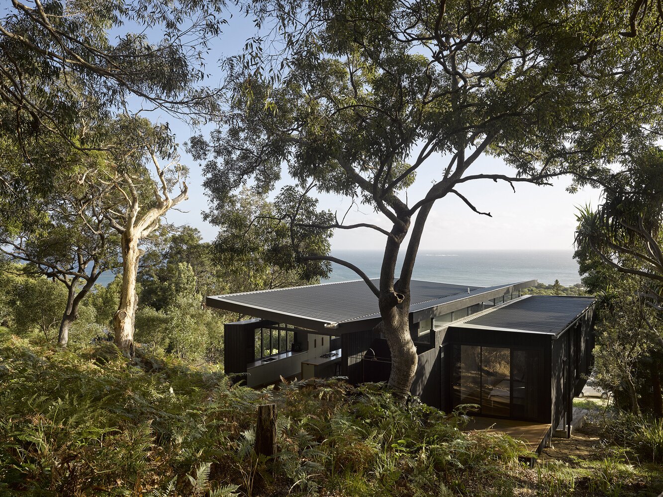 Photo 1 of 14 in A Beach House in Australia Offers the Joys of Camping ...