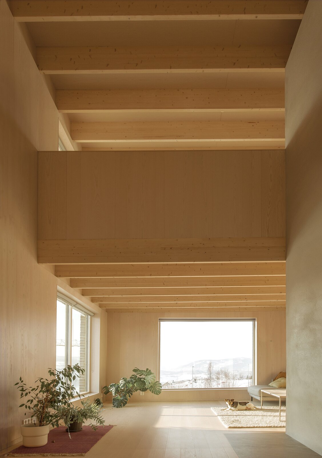 Photo 4 of 13 in In Norway, a Brick Home With an Institutional Feel Is ...