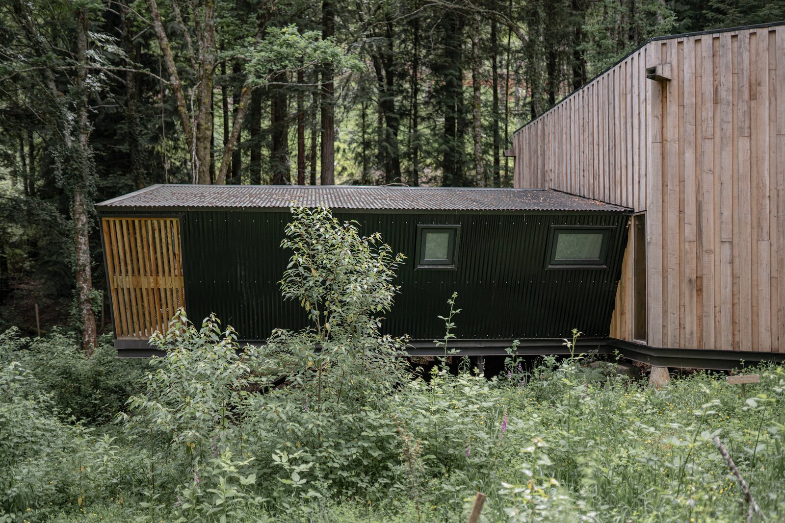 Photo 10 of 21 in The Only Way Through This Cabin in Chile Is Up Its ...