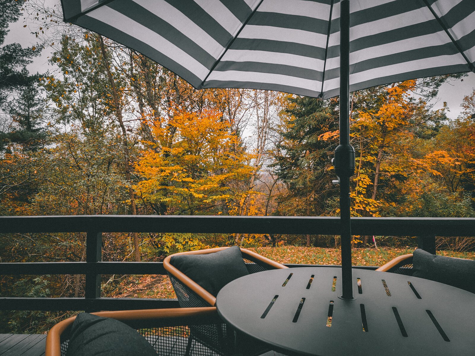 Photo 7 of 8 in Black Pearl Lodge airbnb by LivletStudio - Dwell