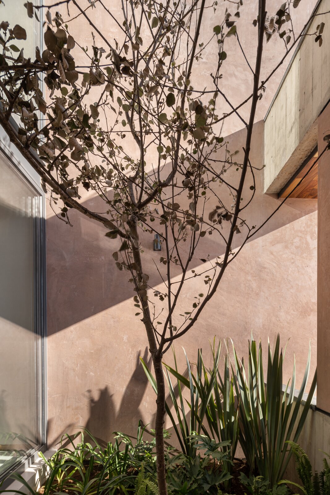 Photo 14 of 20 in Monolith House by Infante Arquitectos - Dwell