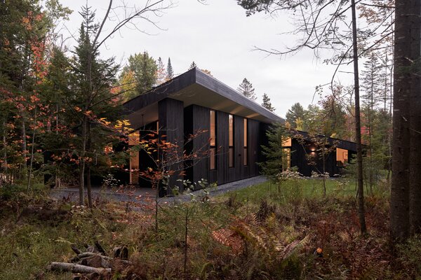 Exterior Wood Siding Material Design Photos and Ideas - Dwell