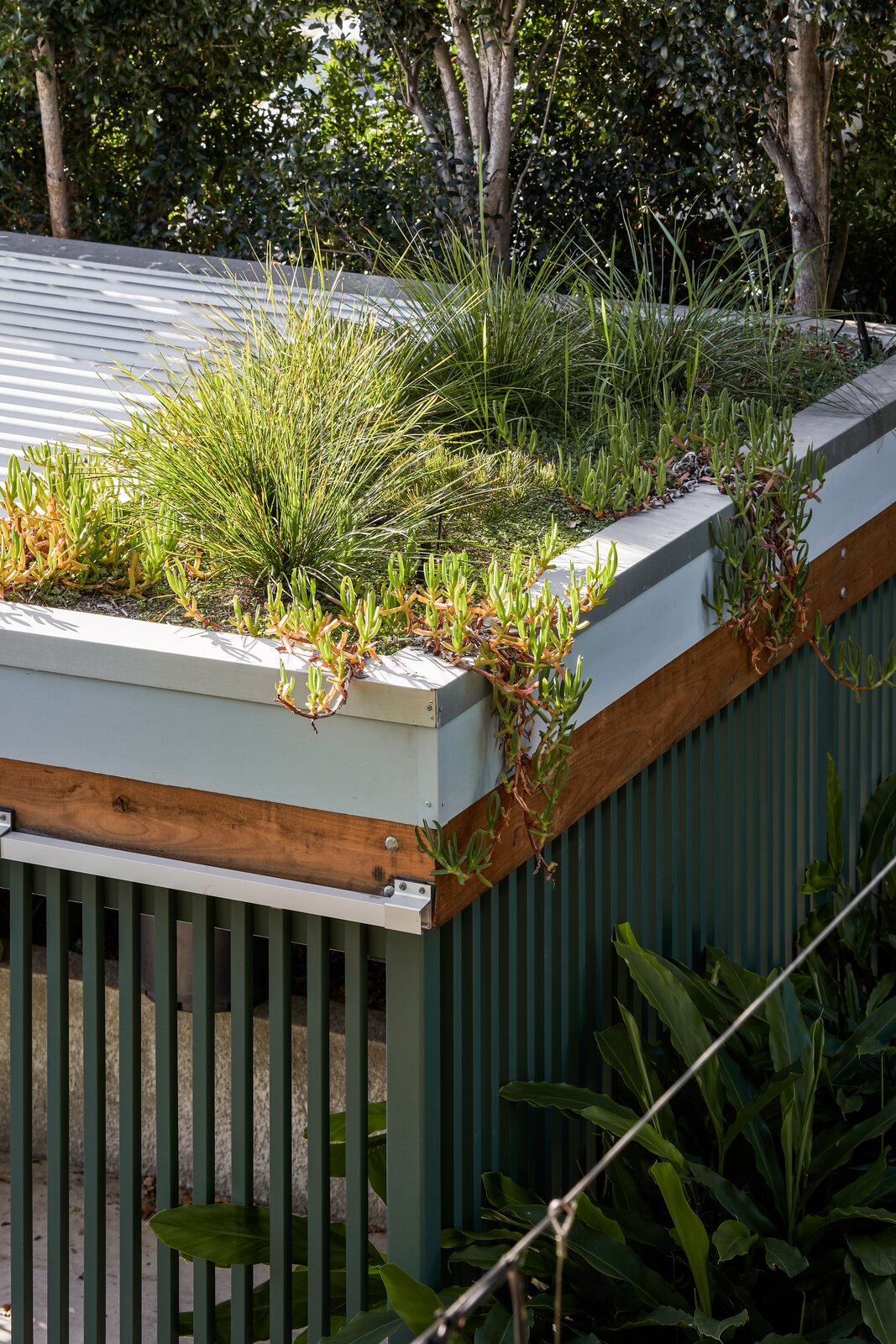 Photo 9 of 23 in An Improved Veranda and Shades of Green Make This ...