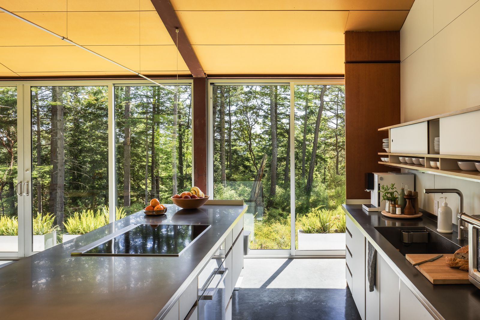 Photo 7 of 16 in Orcas Island Residence by Allison Nagy - Dwell