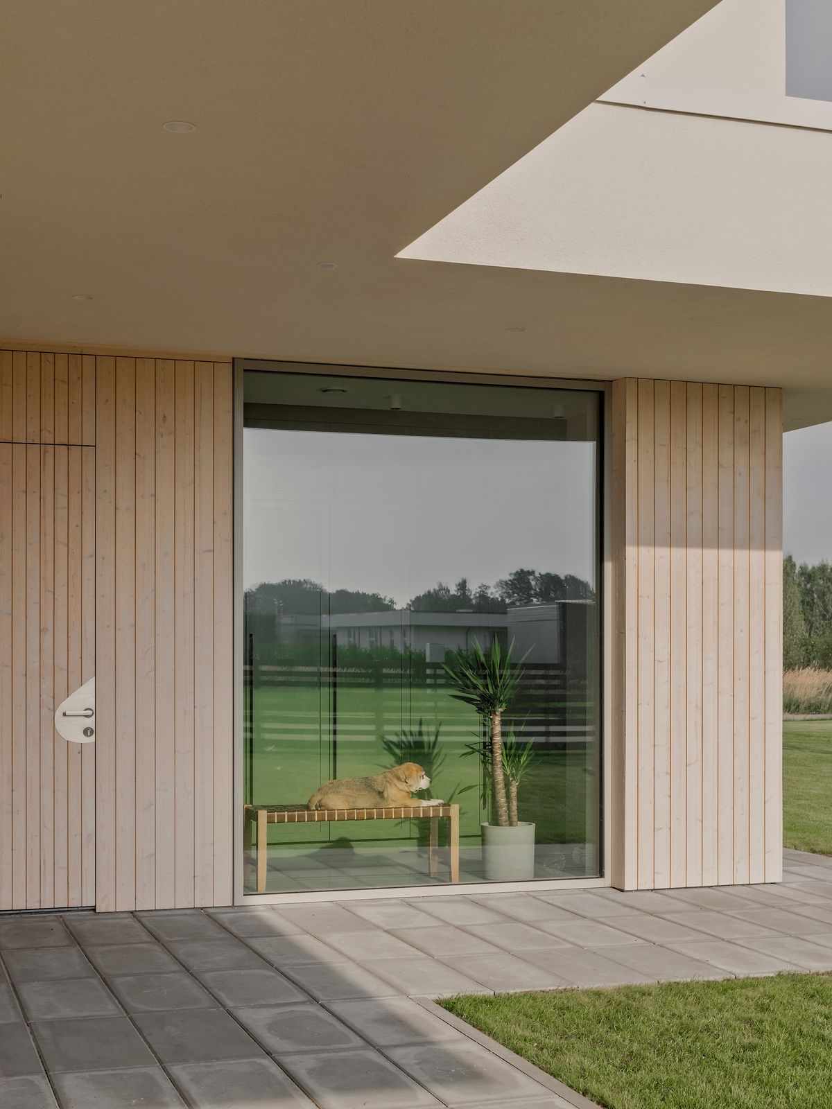 Photo 8 of 23 in Timber and Lime House by GAISS - Dwell