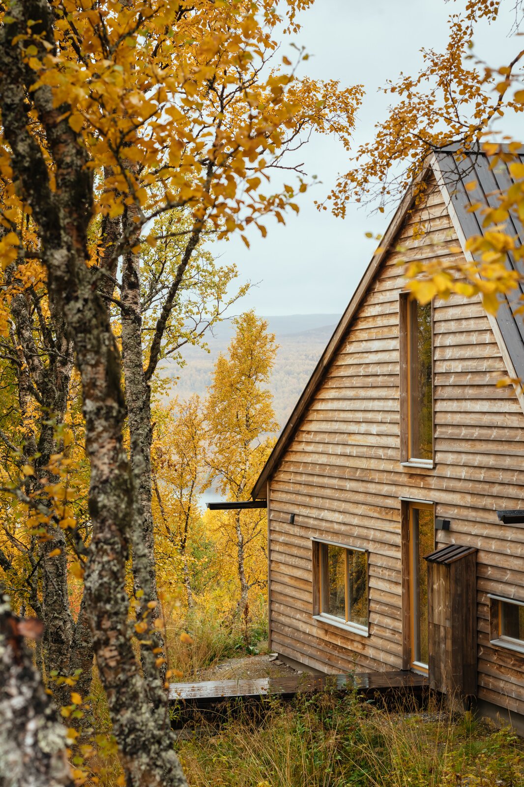 Photo 7 of 25 in A Central Fireplace Anchors This Uber-Cozy Cabin in a ...