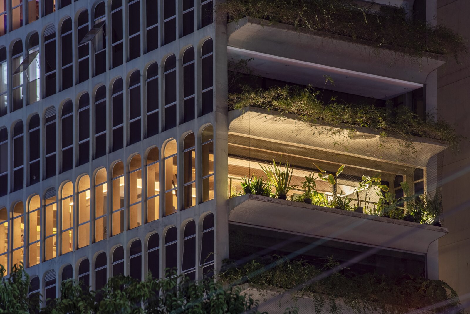 Photo 1 of 26 in Rhythmic Ceiling Arches Provide Support—and Eye Candy ...