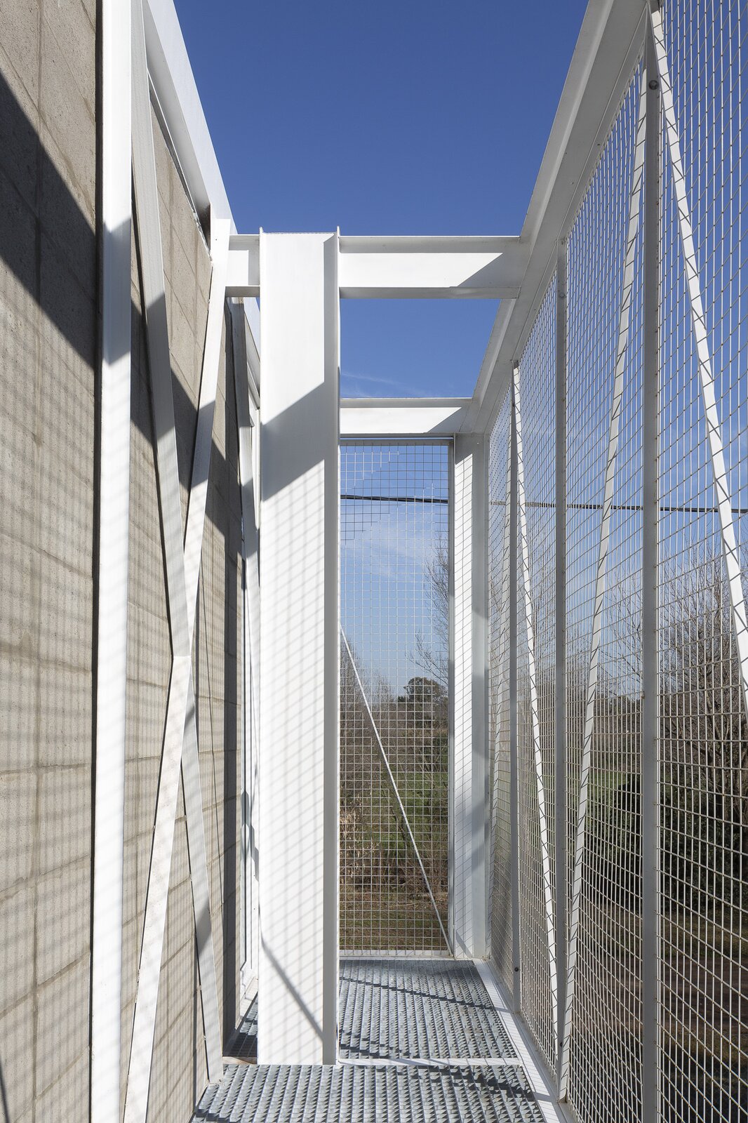 Photo 16 of 19 in A Steel Skeleton Makes This Concrete Brick Home in ...