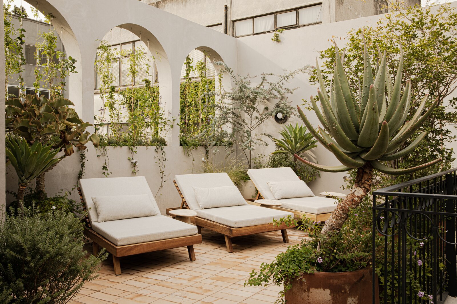 Photo 7 of 29 in This Lush Courtyard Home in Mexico City Was Once a ...