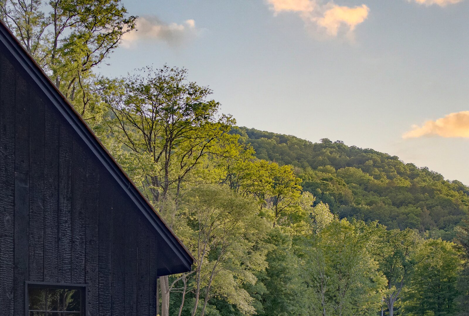 Photo 3 of 16 in Refreshing This 1930s Catskills Cabin Made It Just the ...