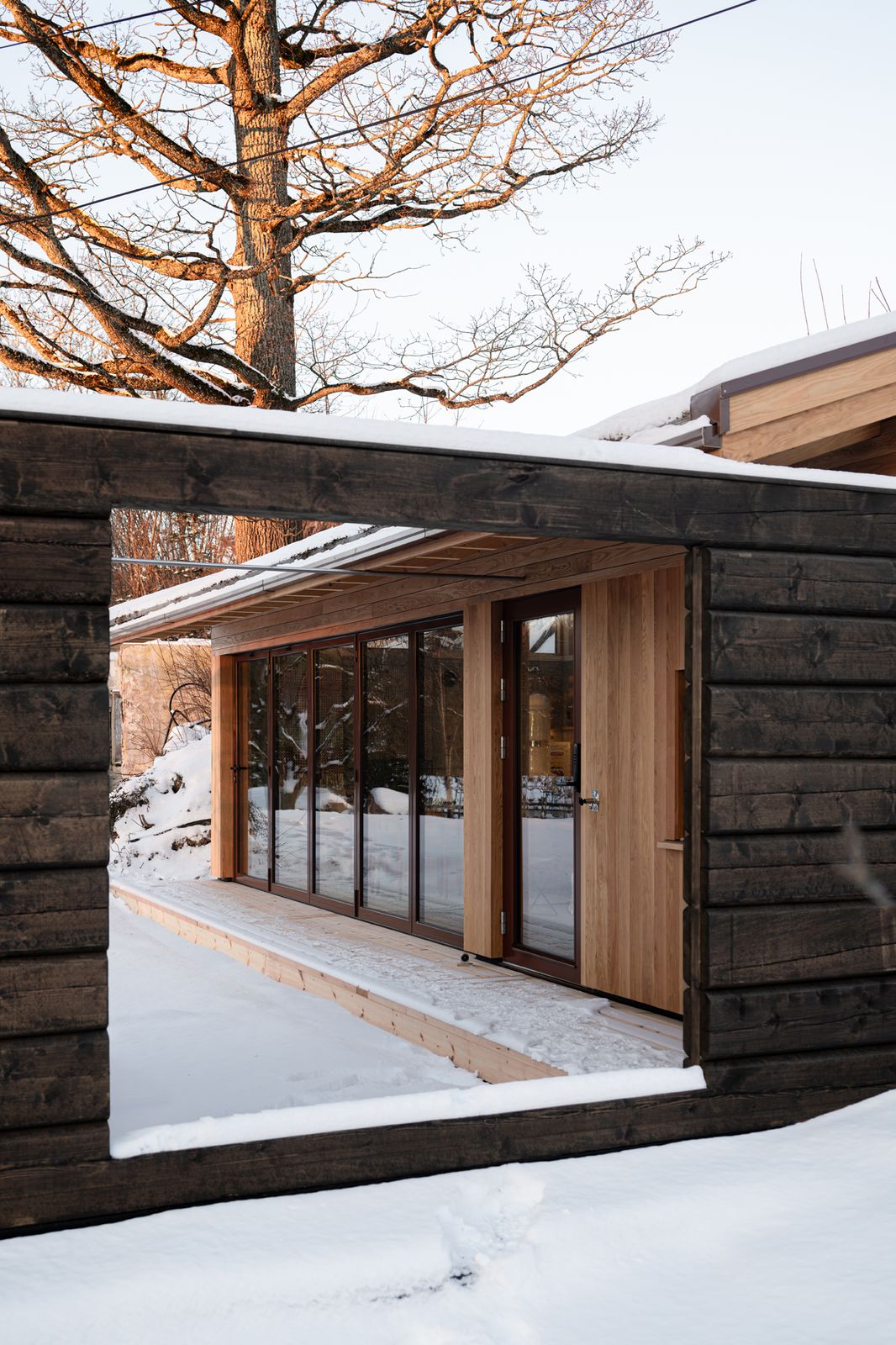 Photo 7 of 18 in A Backyard in Norway Gets a Ship-Shaped Addition - Dwell