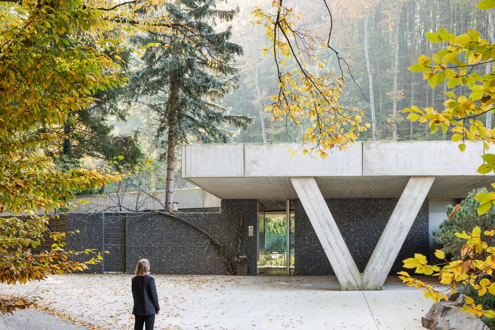 Photo 8 of 18 in Expanses of Glass Immerse This Y-Shaped Home in Its ...