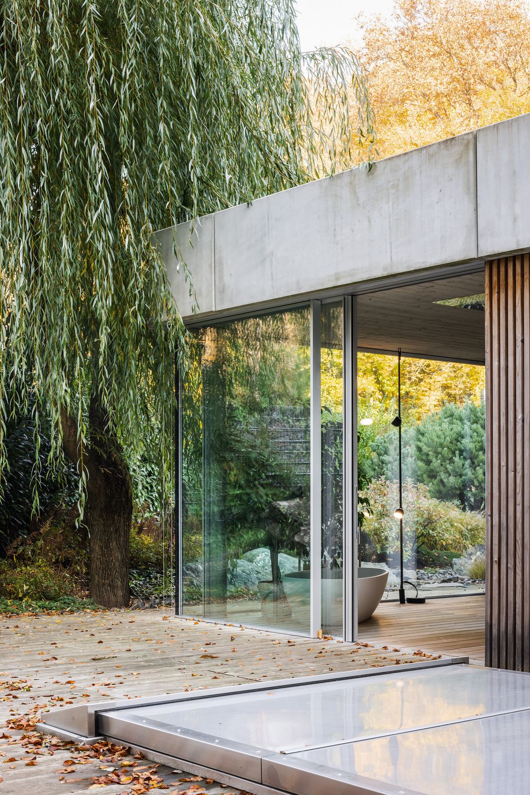 Photo 6 of 18 in Expanses of Glass Immerse This Y-Shaped Home in Its ...