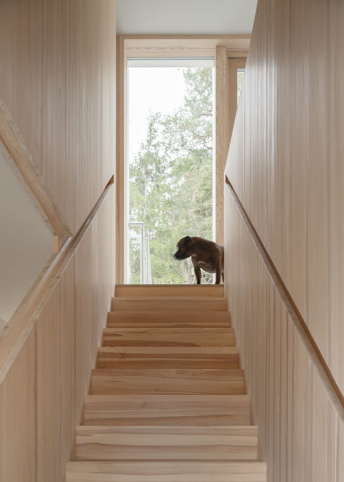Photo 11 of 12 in Why Does This Swedish Home Look So Crisp? The Wood ...