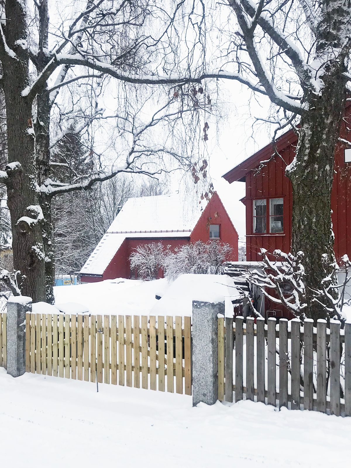 Photo 17 of 17 in In Norway, a Celebrated Artist Adds a Creative Space ...