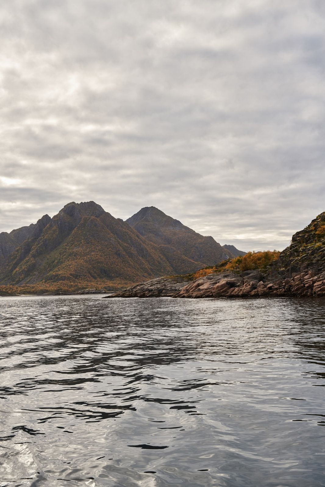 Photo 1 of 14 in Drink In Views of Norway’s Archipelago at This ...