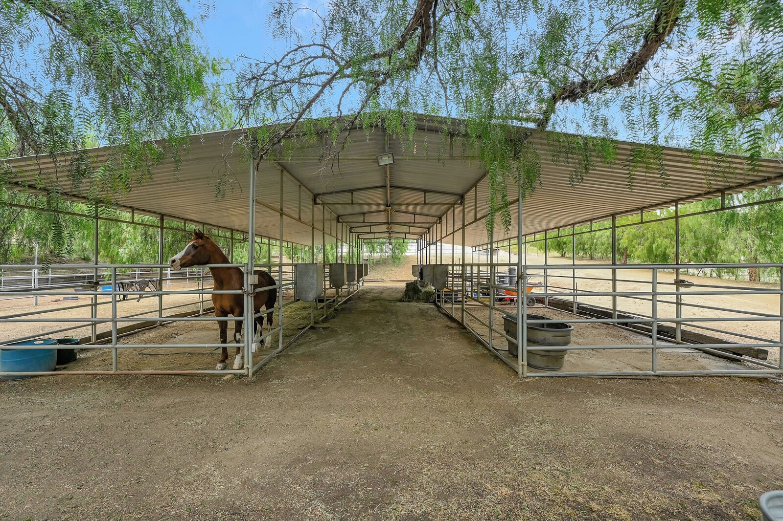 Photo 7 of 10 in Ridgeview Ranch, an Equestrian Dream in Santa Monica ...