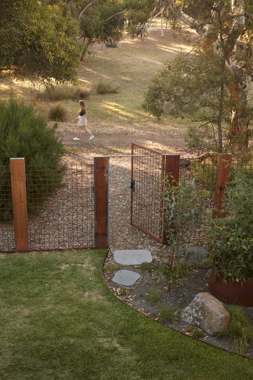 Photo 14 of 15 in A Soaring Timber Extension Revs Up a Quiet Suburban ...