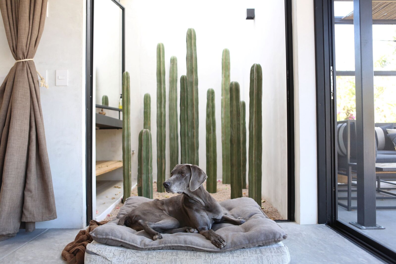 Photo 2 of 18 in Baha Shack by a34studio - Dwell