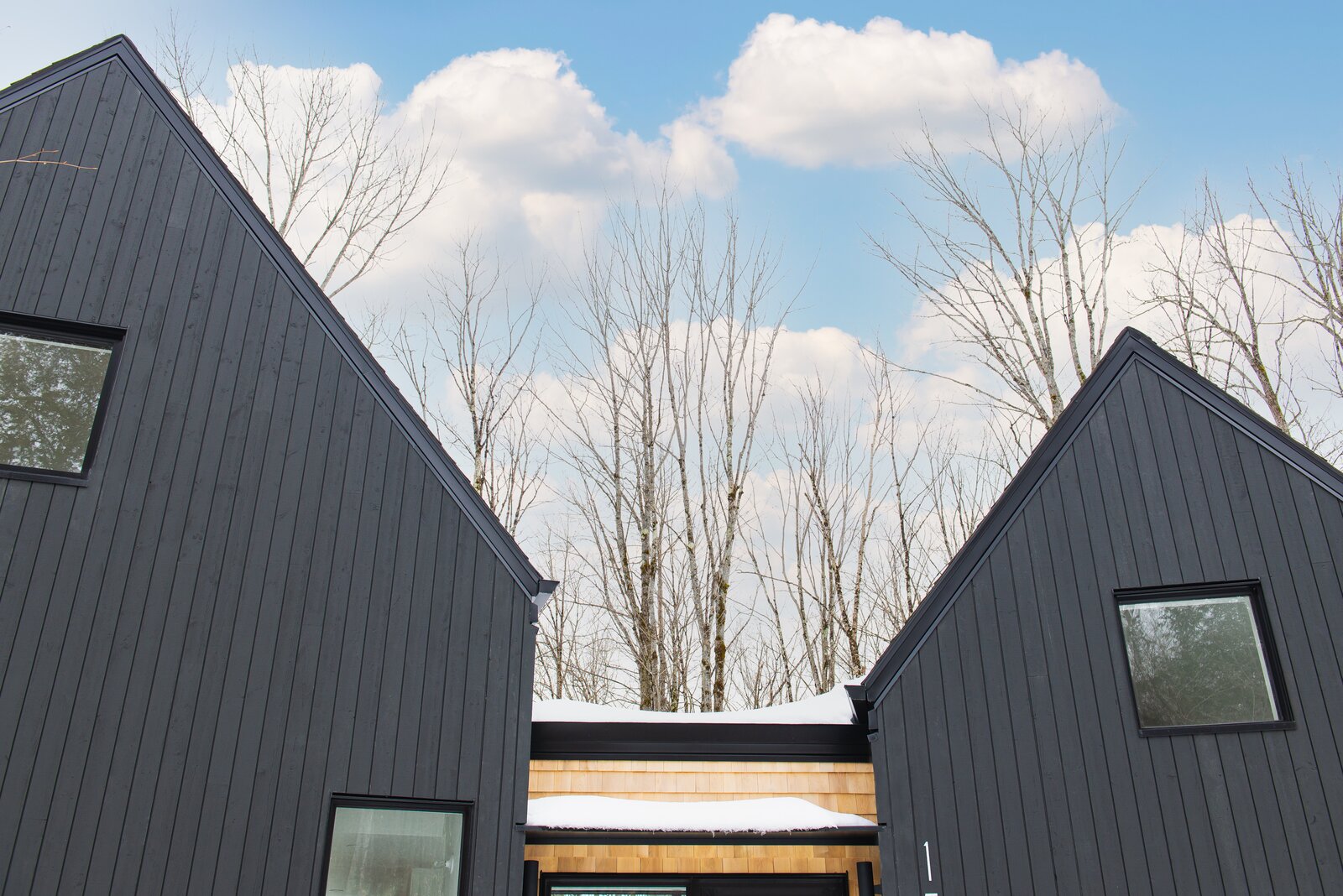 Photo 1 of 50 in In Quebec, a Pair of Black Gables Form a Scandinavian ...