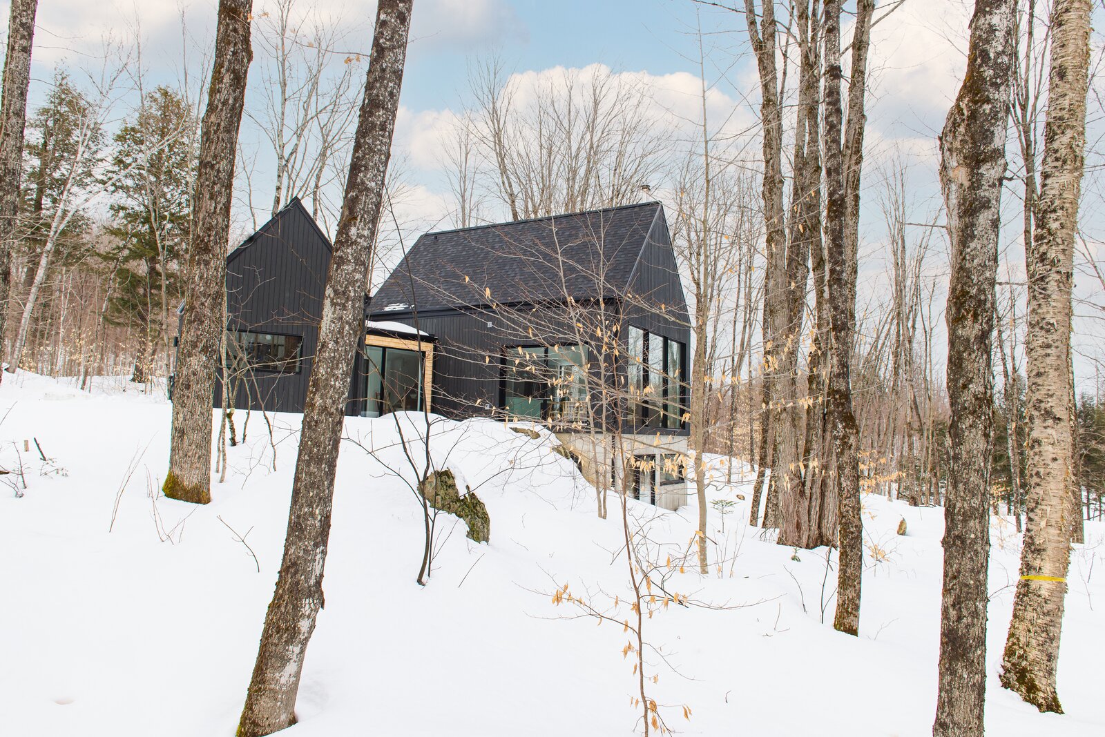 Photo 1 of 50 in In Quebec, a Pair of Black Gables Form a Scandinavian ...