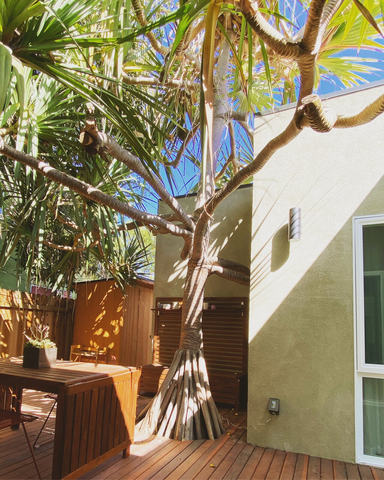 Photo 5 of 10 in The treehouse by Julien Magnat - Dwell