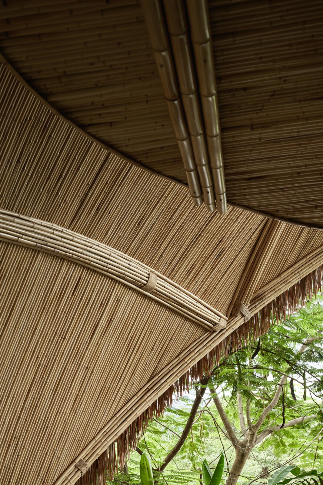 Photo 17 of 46 in Chon Buri by Funs Design by design aesthetics - Dwell