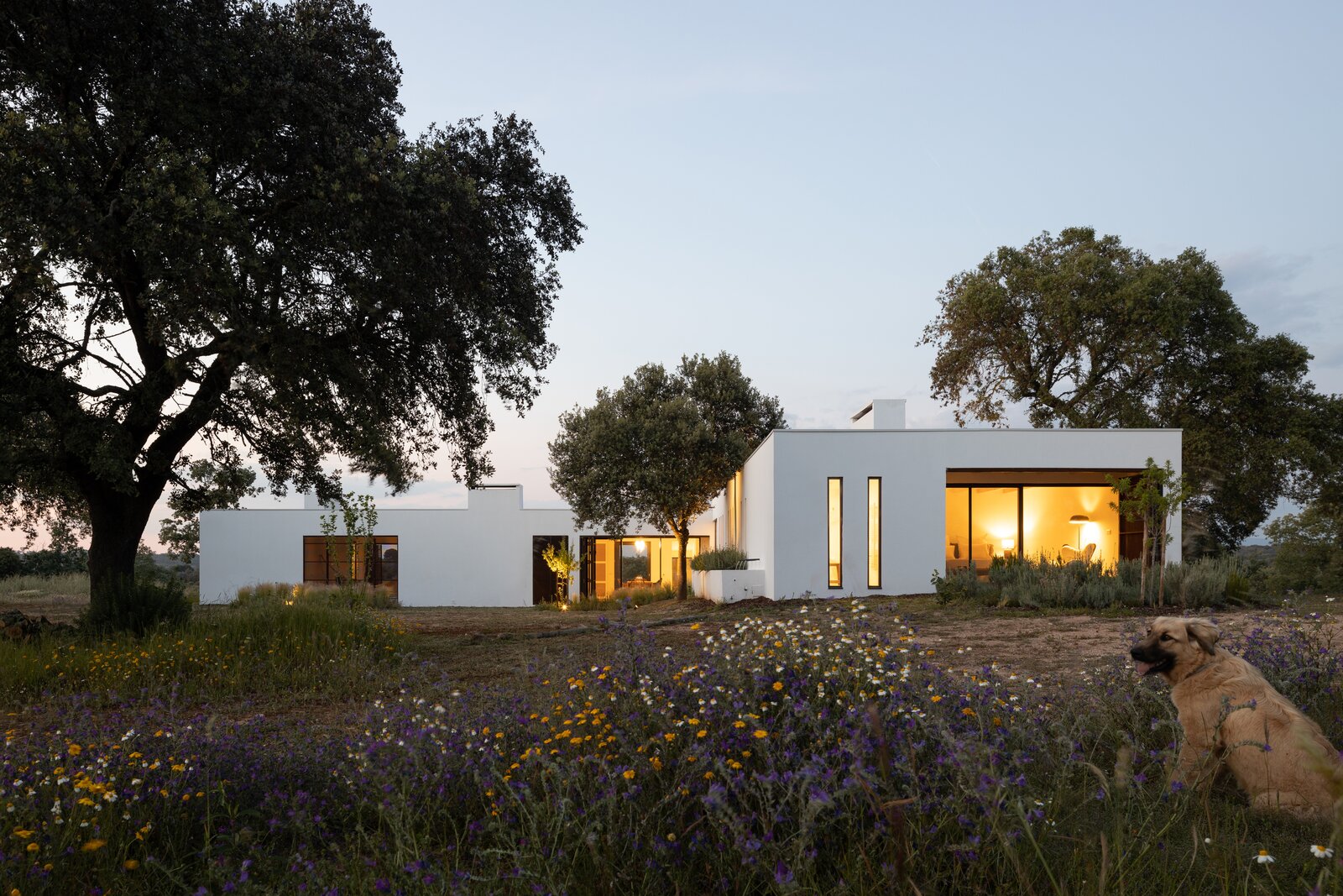 Photo 1 of 61 in Casa no Crato by Inês Brandão Arquitectura - Dwell