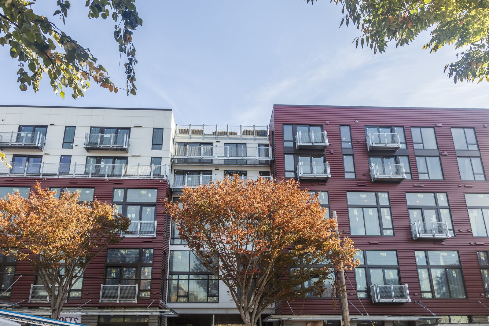 Photo 5 of 9 in Ballard Public by Johnston Architects - Dwell